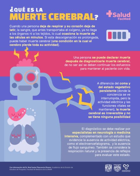 ¿qué Es La Muerte Cerebral Salud Facmed